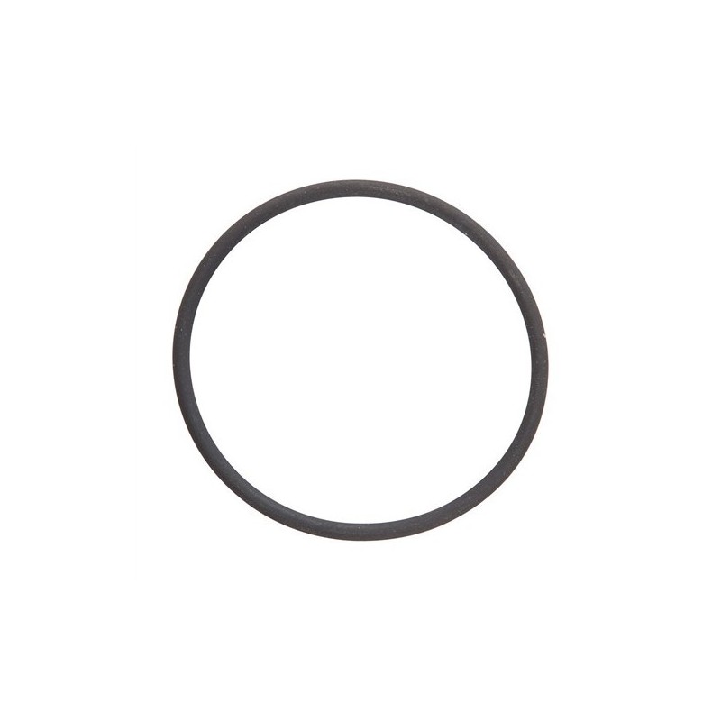 BERETTA GUARNIZIONE CILINDRO O-RING XTREMA PER CAL 12 - Arco e Frecce