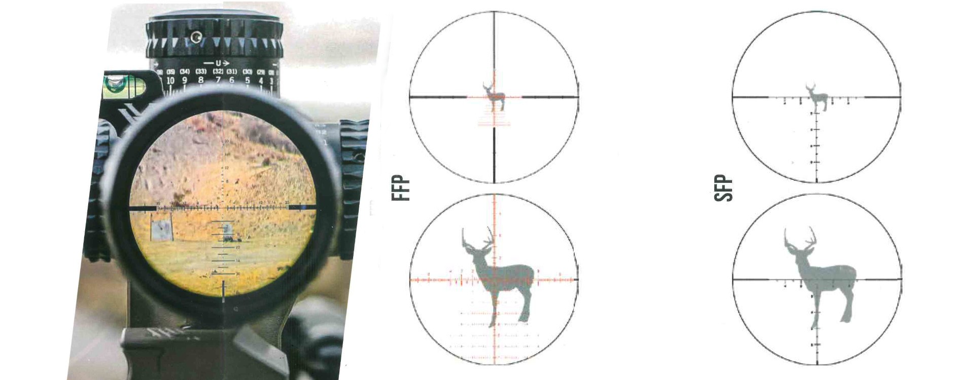Primo piano focale FFP o secondo piano focale SFP?